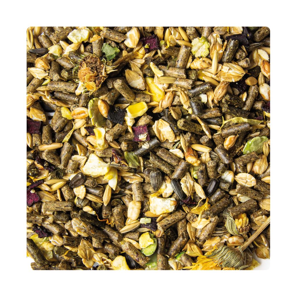 Florian Power Fit - Florian Horsefood